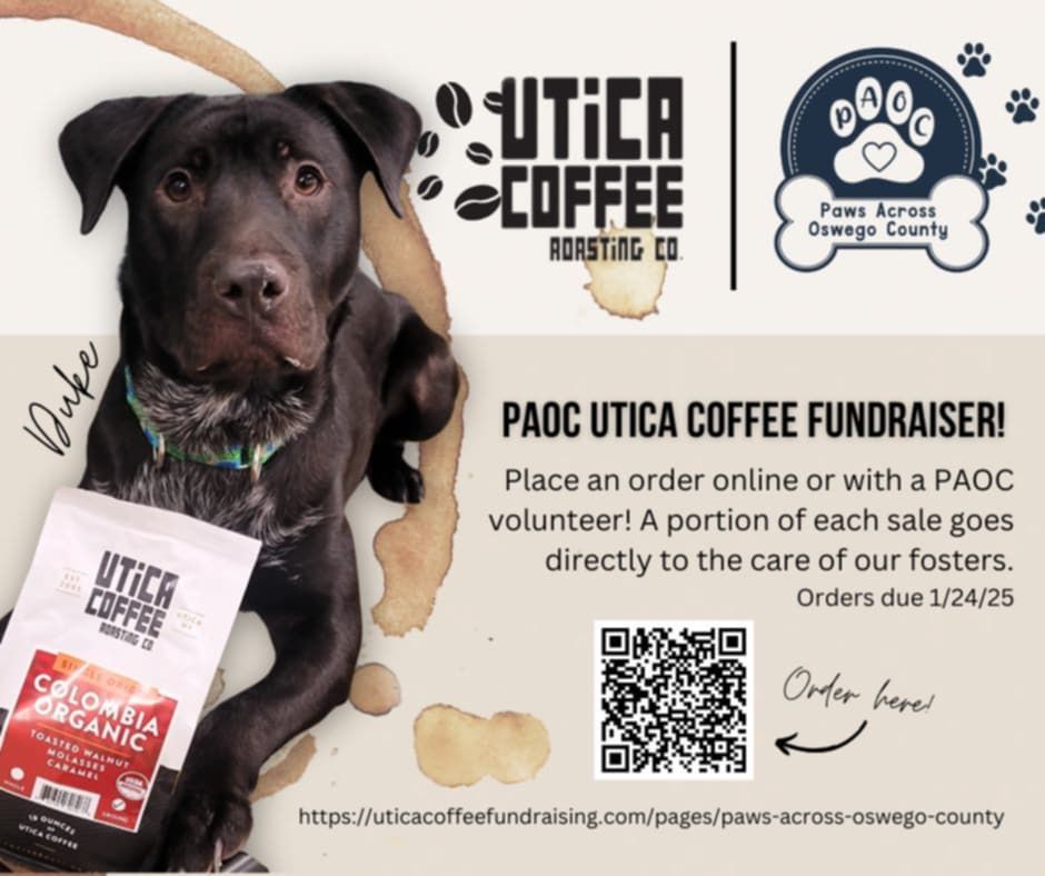 Home - Paws Across Oswego County